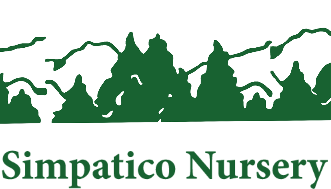 Simpatico Nursery Local Wholesale Landscape Supply – Simpático Nursery